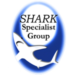 SSG - Angel Shark Conservation Network
