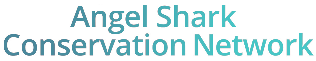 Home - Angel Shark Conservation Network