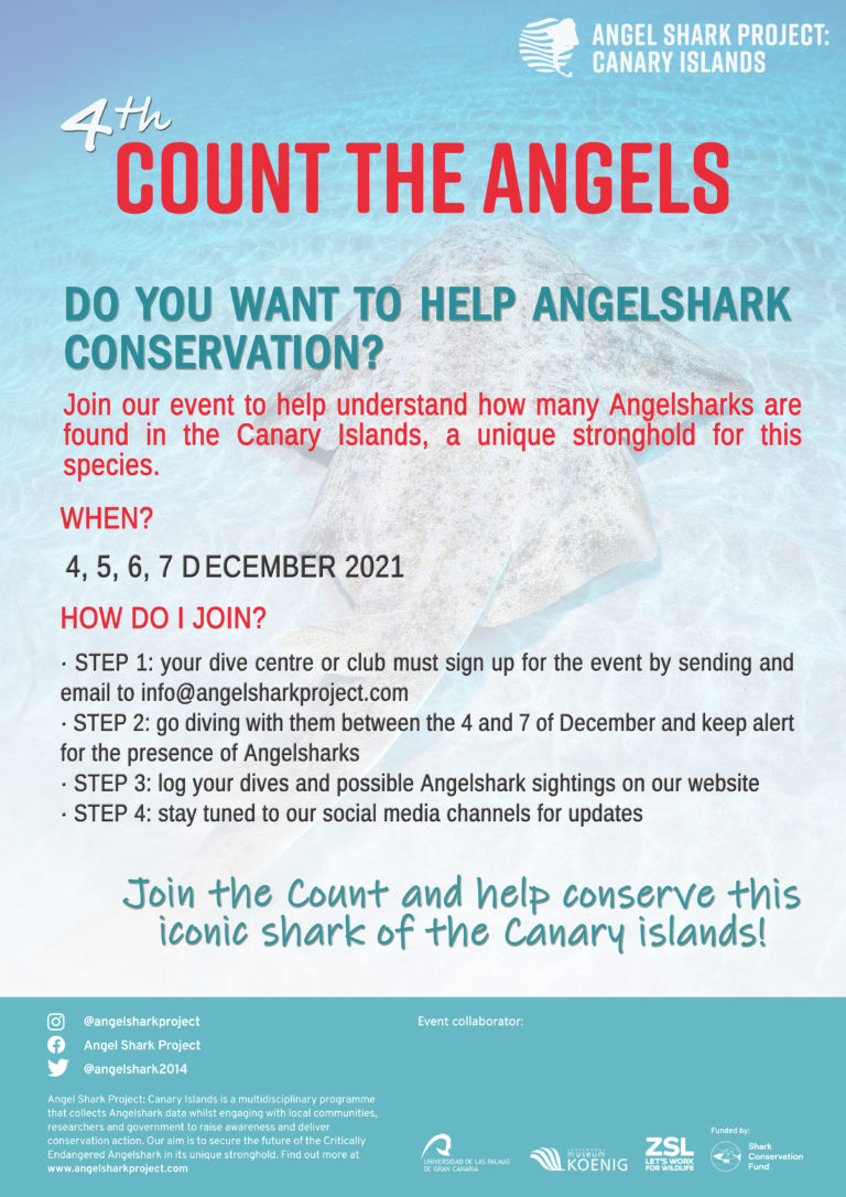 Welsh - Angel Shark Conservation Network